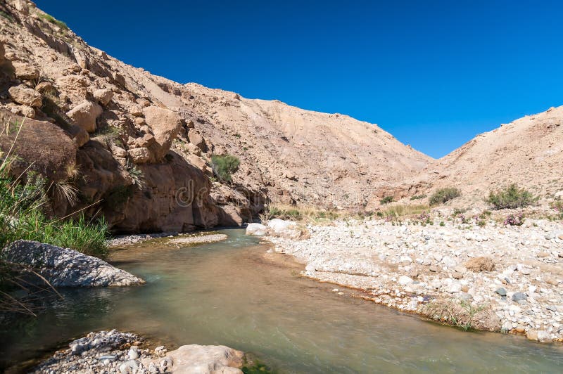 Wadi Hasa creek in Jordan stock image. Image of jordan - 32151273