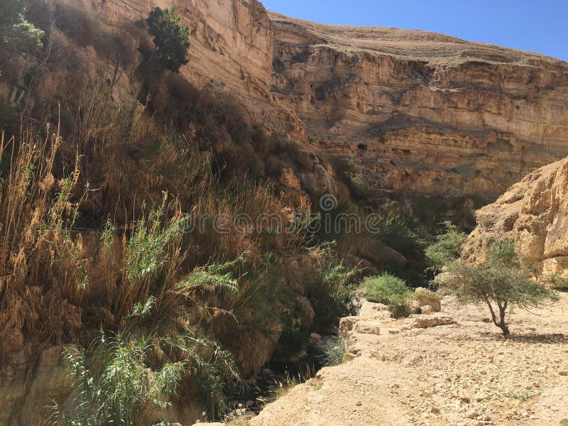 Wadi Quelt, Valley of Shadow of Death, in Israel. Stock Photo - Image ...