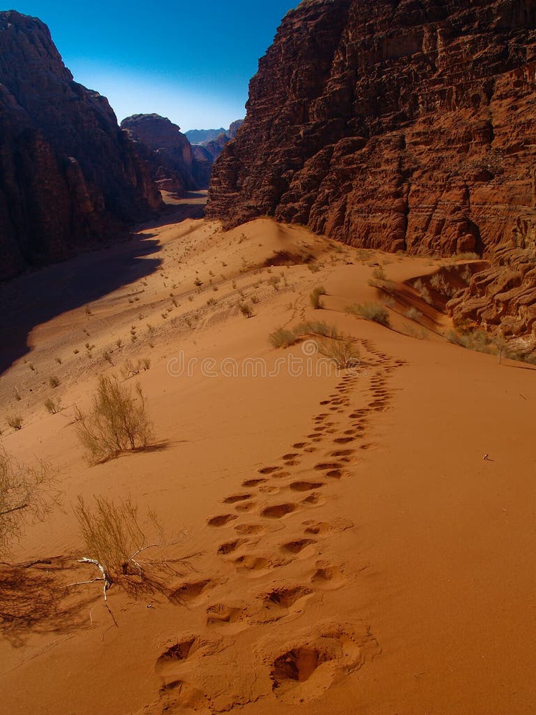 5,899 Beautiful Wadi Rum Stock Photos - Free & Royalty-Free Stock ...