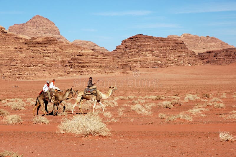 Wadi Rum Camel Safari, Jordan. Editorial Photography - Image of holiday ...