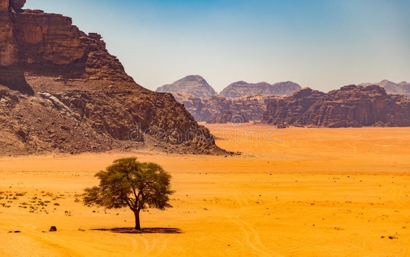 Wadi Rum I stock photo. Image of sandstone, desert, sand - 153575184