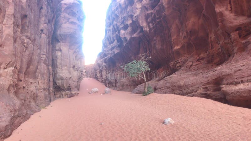 Wadi Rum, Jordan - Whimsical Cliffs Created by Time in the Desert Part ...