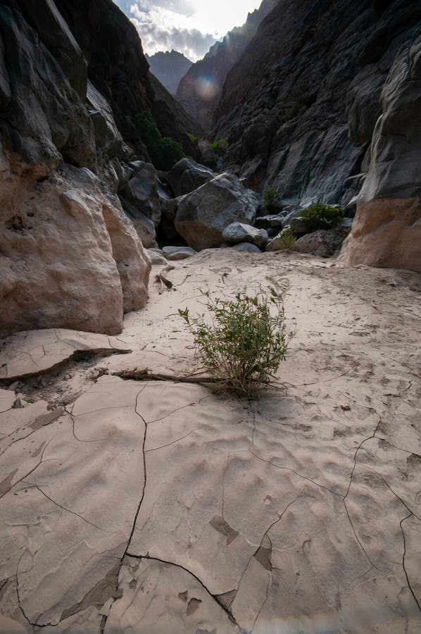 Wadi in Rustaq Mountains, Oman Stock Photo - Image of palms, oman ...