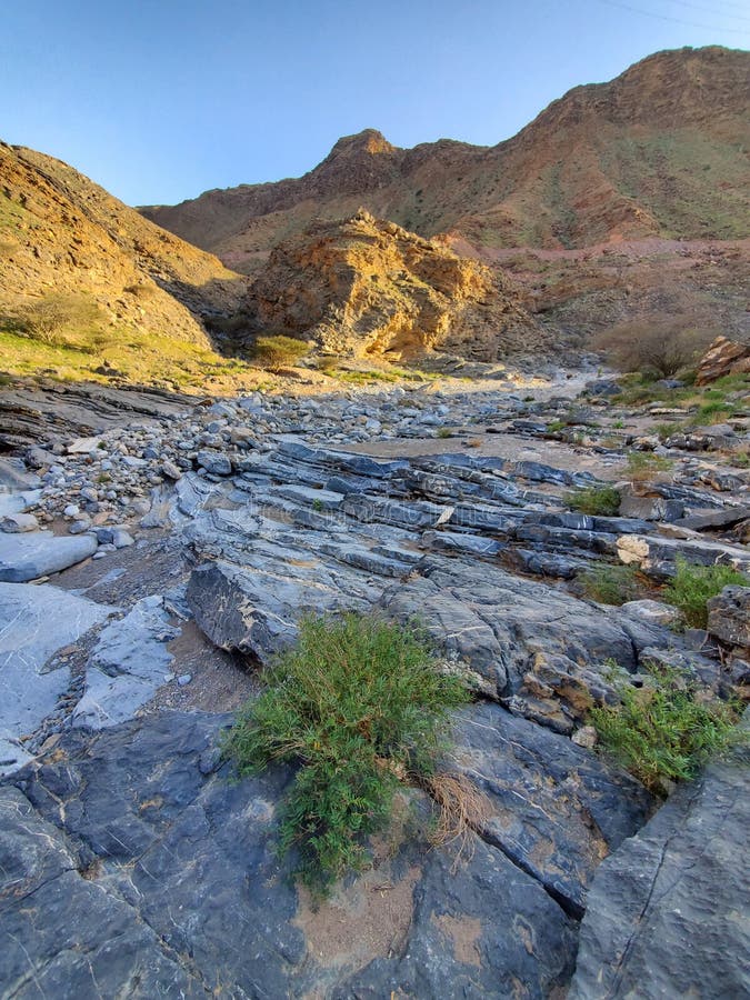 Wadi Sa al, Oman stock photo. Image of valley, walking - 241080810