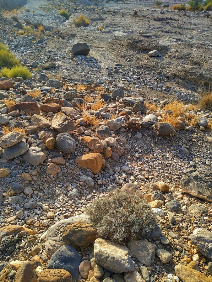 Wadi terrain, Oman stock photo. Image of middle, autumn - 188228668