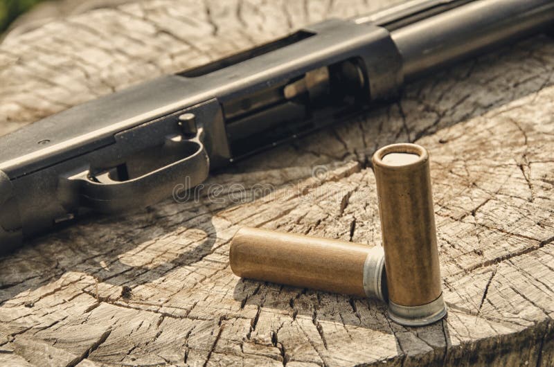 Waffe Schrotflintenkonzept Schwarze Schrotflinte Und Munition Stockfoto ...