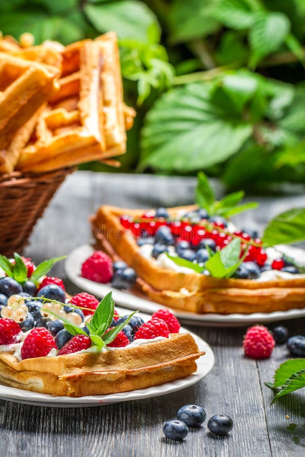 Waffles with Fresh Collected Berry Fruit Stock Image - Image of ...