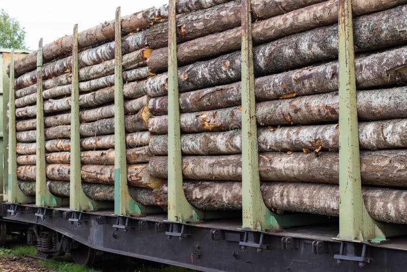 Wagon Loaded with Loggs, Close Up. Transport and Forestry Industry ...