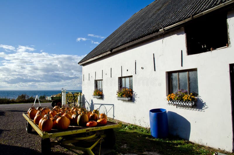Pumpkin Wagon Lancaster County Editorial Photo - Image of pumpkin, farm ...