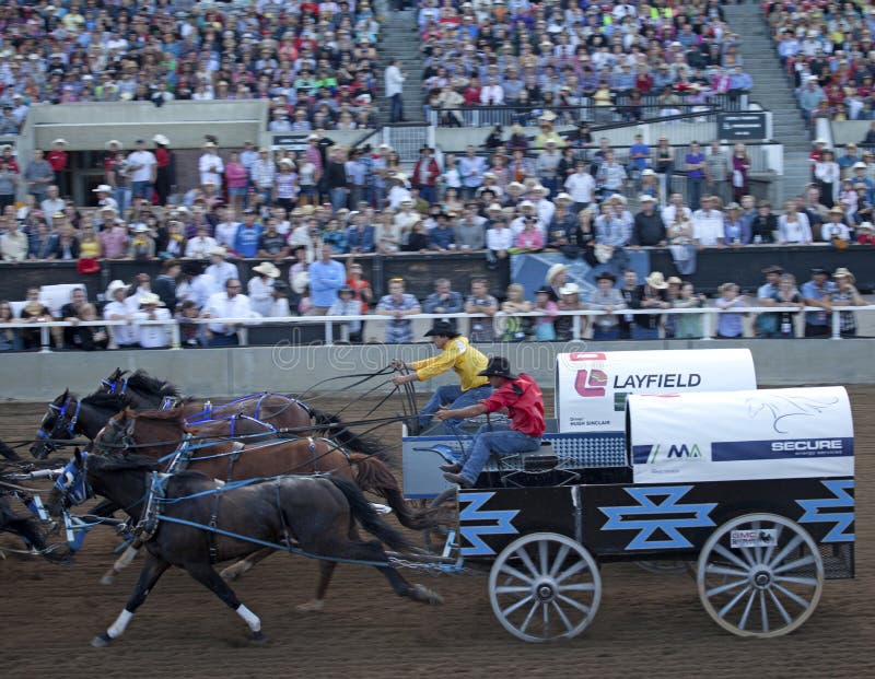 Wagon racing, Calgary editorial photo. Image of competition - 42946511