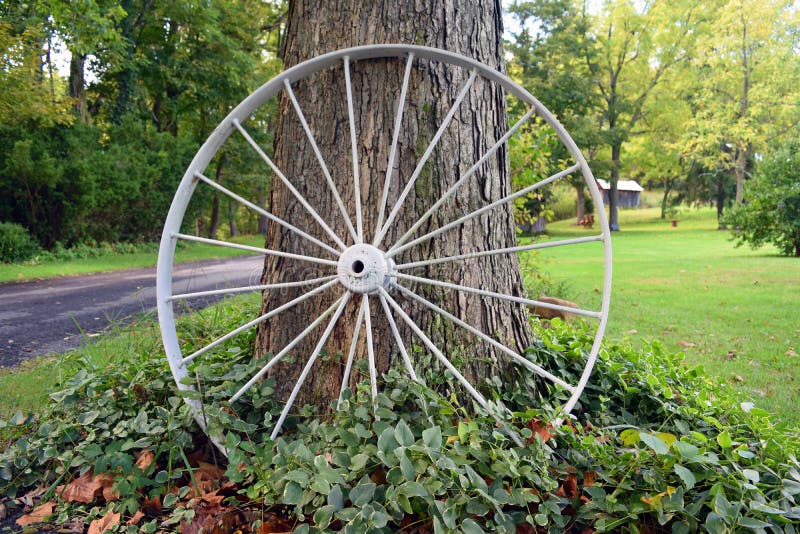 Wagon Wheel stock photo. Image of rustic, tree, white - 64769476