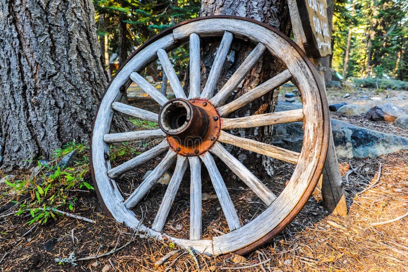 Wagon Wheel Leans Against Pine Tree Stock Photo - Image of antique ...