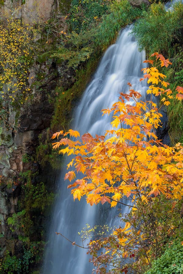 Wah Gwin Gwin Falls in Autumn Stock Image - Image of maple, foliage ...