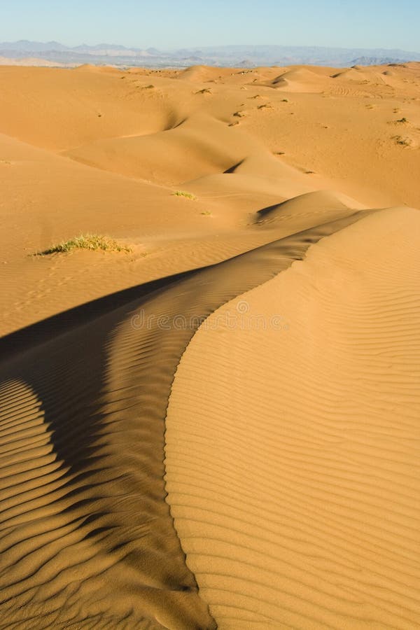 Wahiba Sands, Oman stock photo. Image of horizontal, arid - 33480546