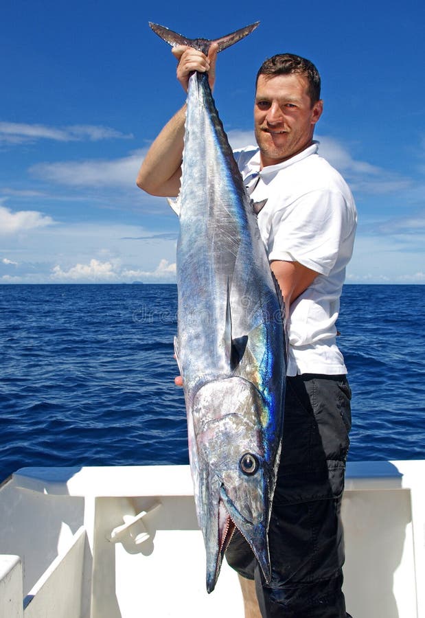 Wahoo fish stock image. Image of atlantic, giant, outdoor - 33851579