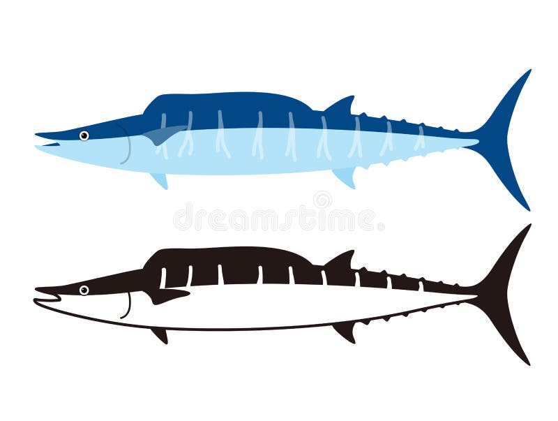 Wahoo Fish Vector Stock Illustrations – 20 Wahoo Fish Vector Stock ...