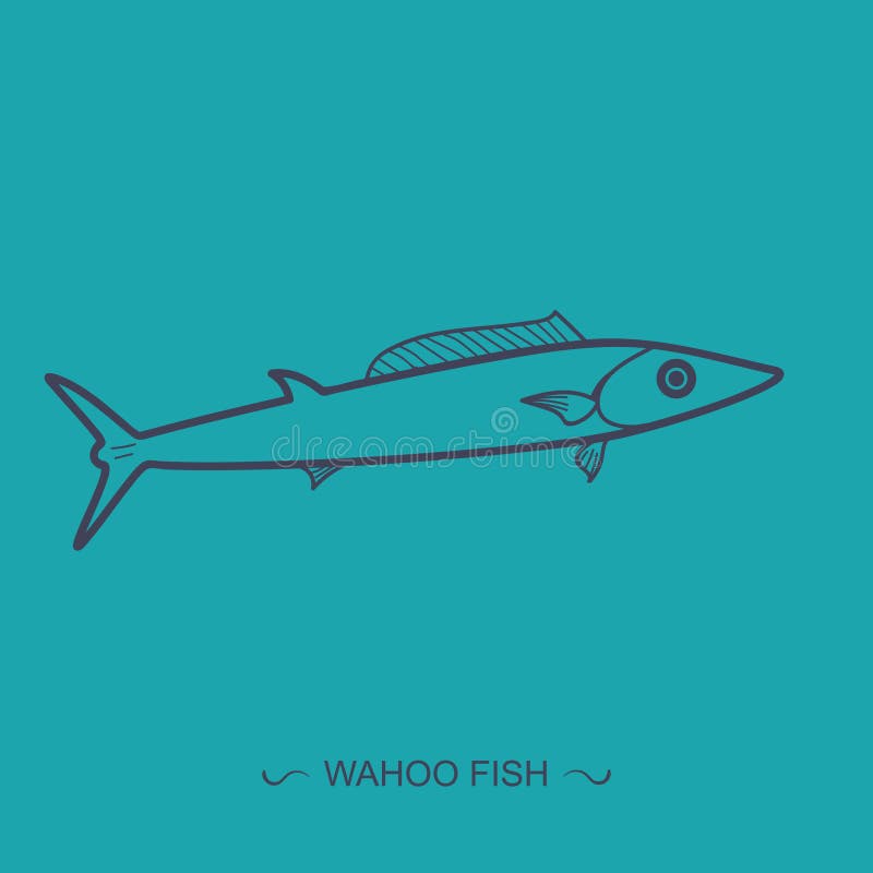 A wahoo fish silhouette stock illustration. Illustration of jack ...
