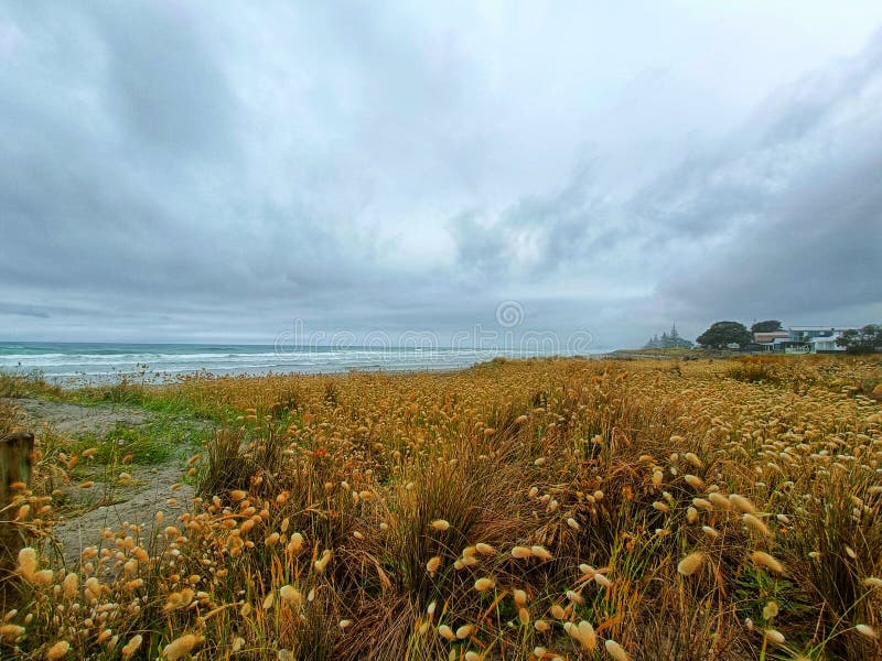 Waihi Beach View from the Dunes Stock Image - Image of louds, dunes ...