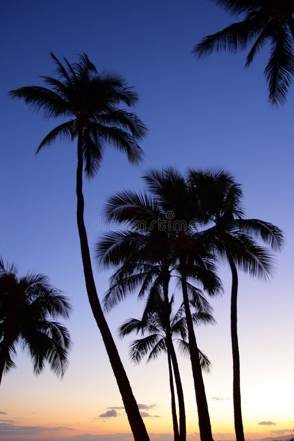 Waikiki Beach at Night (Honolulu, Oahu, Hawaii) Stock Image - Image of ...