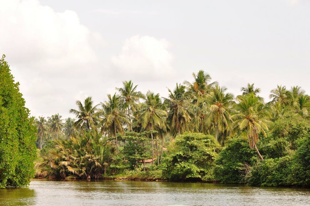 Waikkal river stock image. Image of bank, bushes, landscape - 26747005