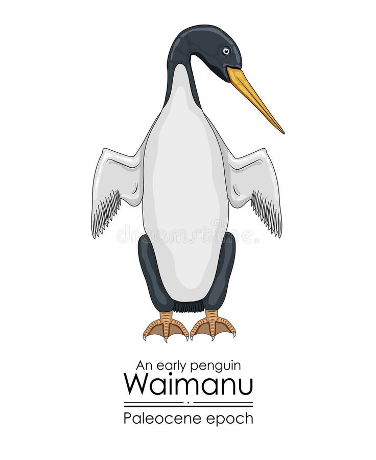 Waimanu, an early penguin stock vector. Illustration of epoch - 310116406