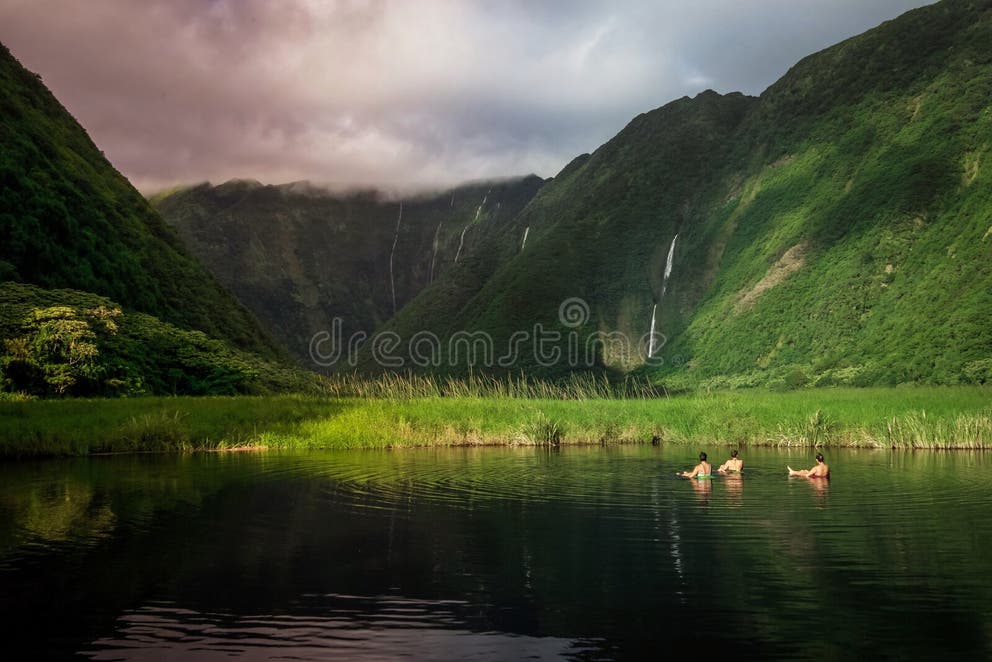 Waimanu valley stock photo. Image of valley, hawaii, waimanu - 82655830