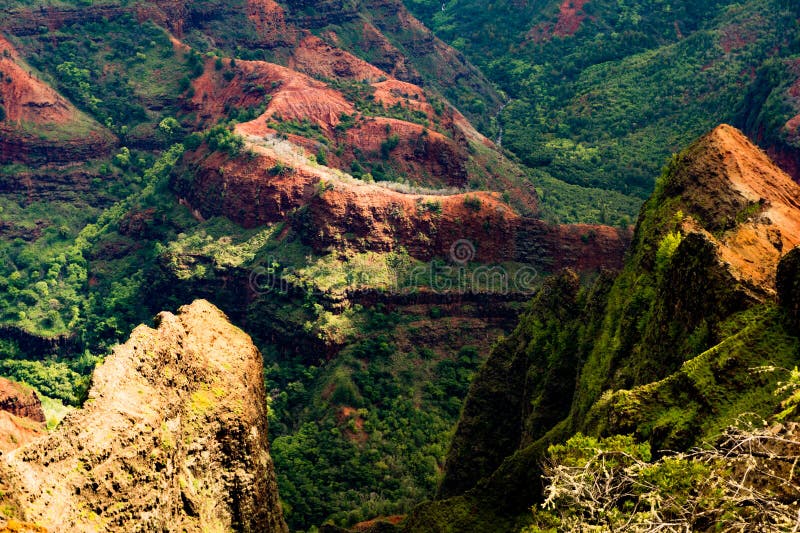 Waimea Canyon State Park stock photo. Image of beautiful - 98263442
