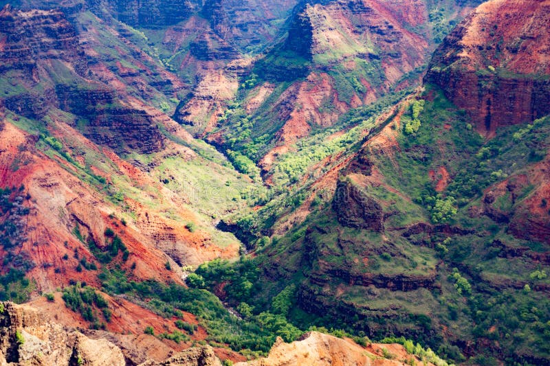 Waimea Canyon State Park stock photo. Image of hawaii - 98263458