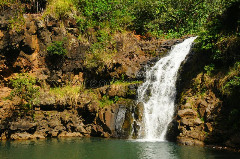 Waimea Falls Waterfall in Hawaii Stock Image - Image of pond, water ...