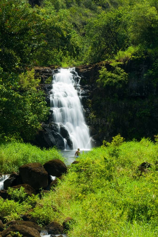 Waimea Waterfall stock image. Image of hawaii, nature - 2738805