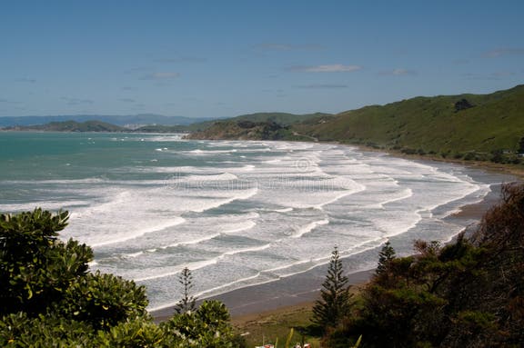 Wainui Beach stock image. Image of green, pacific, empty - 11335761