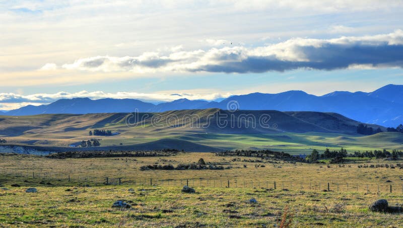 Waitaki Valley Field and Mountains Stock Photo - Image of scenic ...