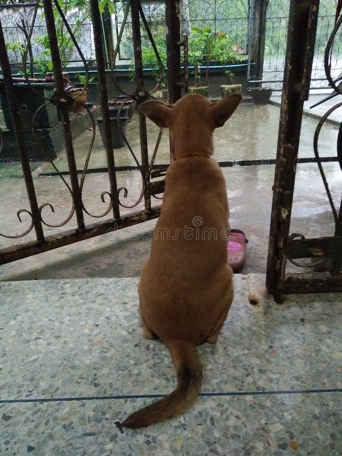 Waiting and alone stock photo. Image of alone, rain, iron - 84711756