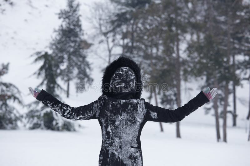 Waiting for the First Snow. Stock Image - Image of forest, snowfall ...