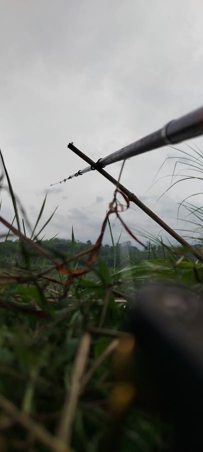 Waiting for the Fish To Bite the Hook Stock Image - Image of green ...