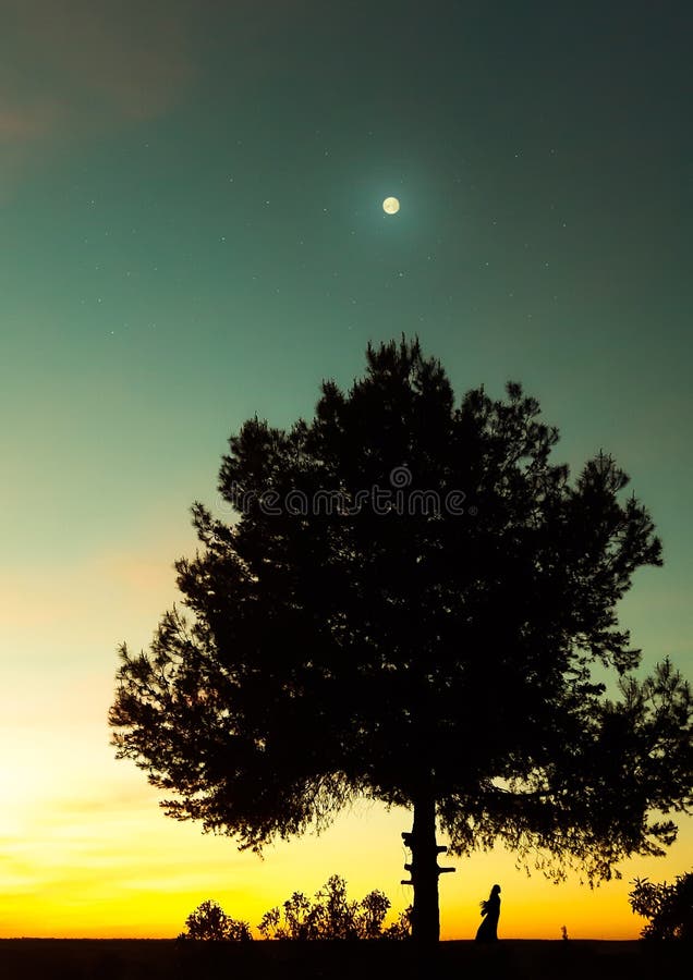 Waiting for Her from the Tree and the Full Moon Stock Photo - Image of ...
