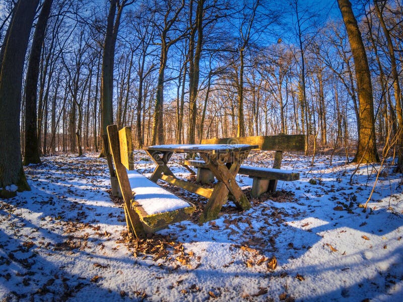 Waiting and Resting in the Snow Forest Stock Image - Image of climate ...
