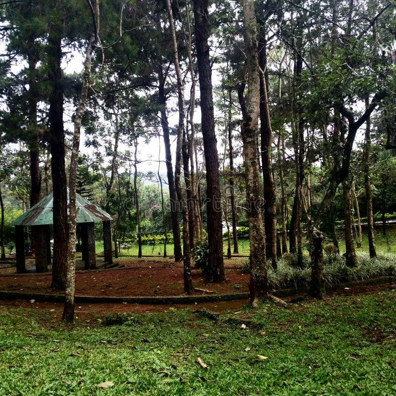 Pacdal Baguio Stock Photos - Free & Royalty-Free Stock Photos from ...