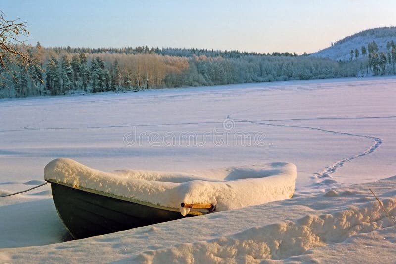 Waiting for spring stock photo. Image of frozen, lonely - 273020