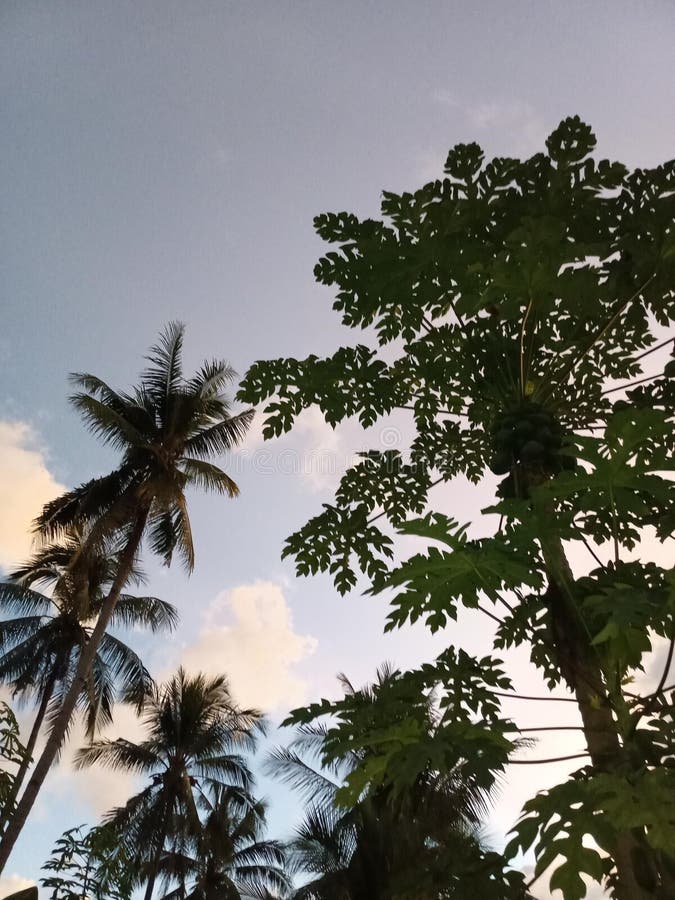 Waiting for the Sunrise, the Rising Sun Spouts Refractive Light in the ...