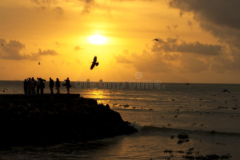 Waiting for the Sunset stock photo. Image of kerala, beach - 25293598