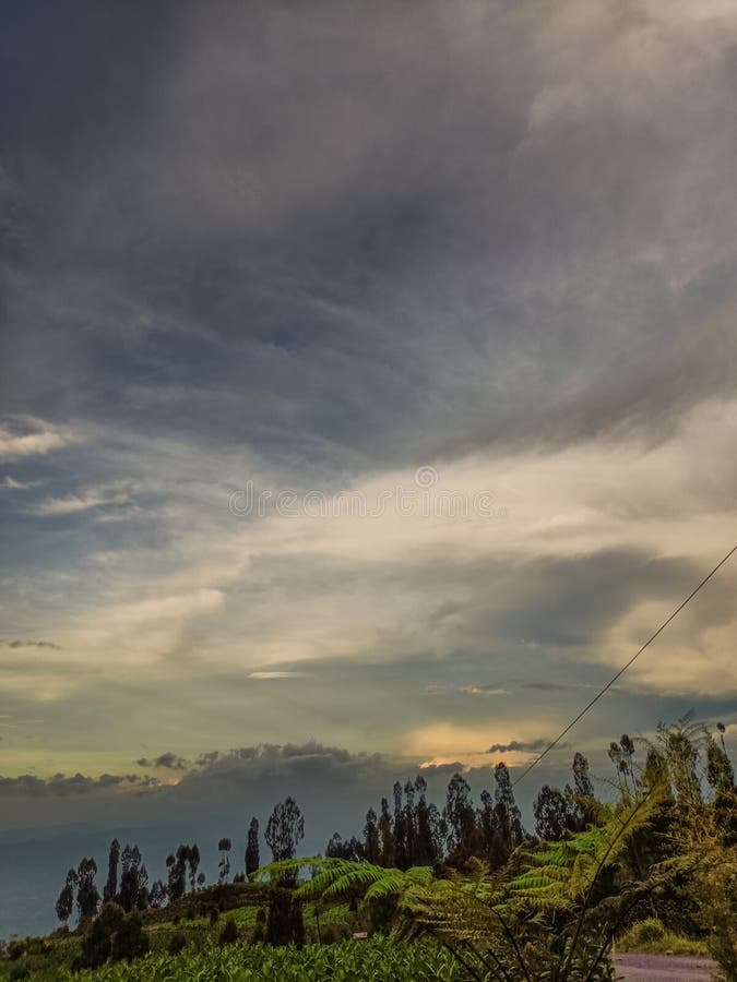 Waiting There Outside stock image. Image of forest, clouds - 250798629