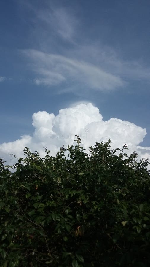 Waiting for Thunderstorms, Cumulus in the Skyt Stock Image - Image of ...