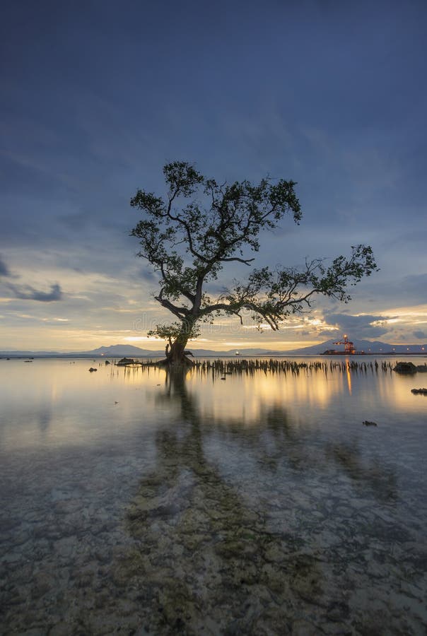 Remaining Sunlight stock image. Image of sunset, wallpapers - 240827437