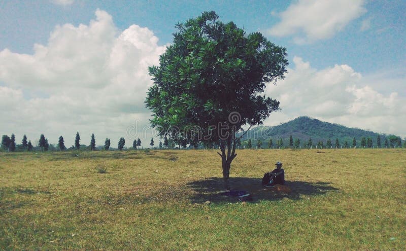 Waiting under the tree editorial photo. Image of berteduh - 80419456
