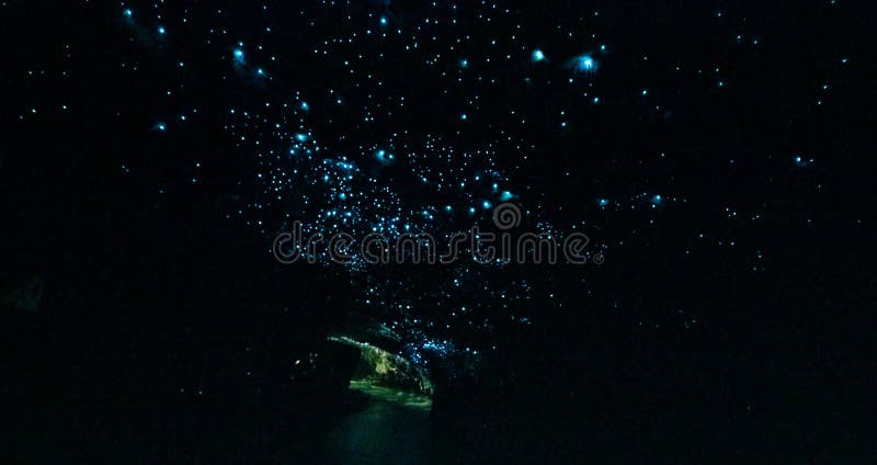 Waitomo Cave Interior with Glowing Worms. it is a Famous Tourist ...