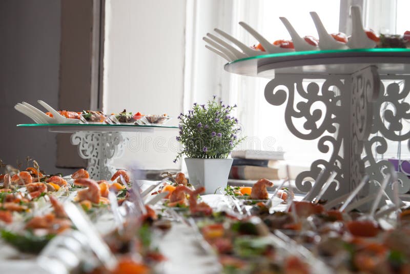 Waitress Serves Tables for Cocktail Party. Catering Stock Image - Image ...