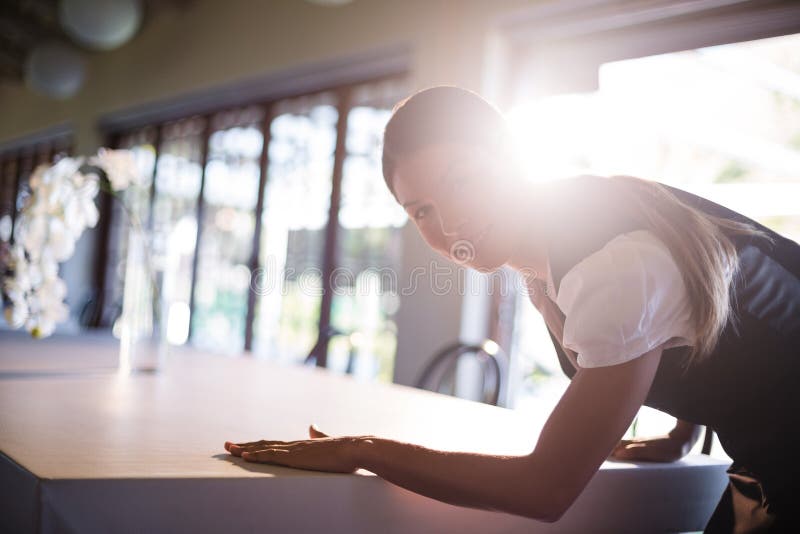 Waitress Setting the Table in Restaurant Stock Photo - Image of worker ...