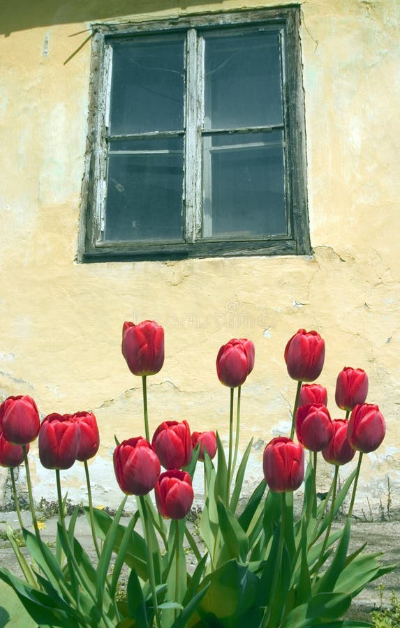 Wake spring-time stock image. Image of limb, meridian, landscape - 702115