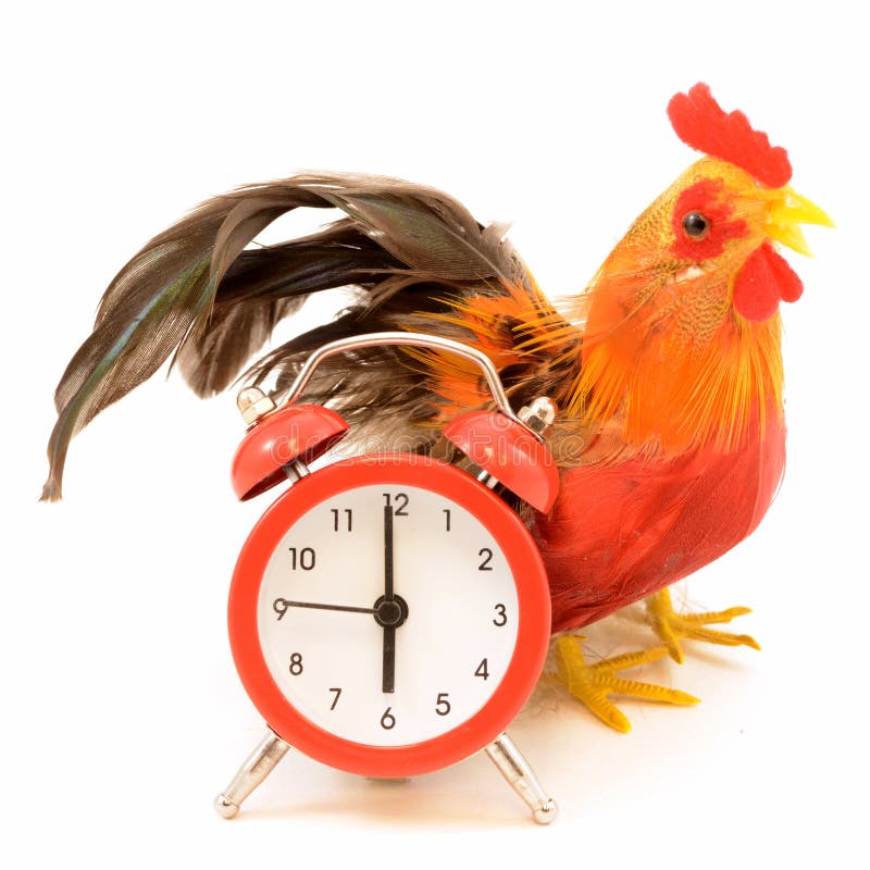 192 Rooster Wake Up Stock Photos - Free & Royalty-Free Stock Photos ...